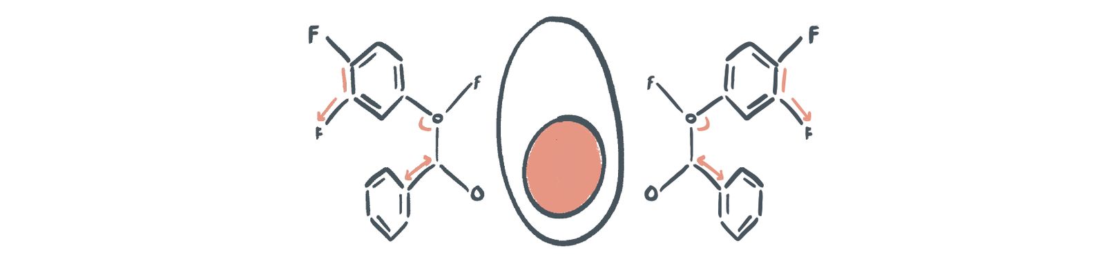 How to Document a Single Component - Blog - zeroheight